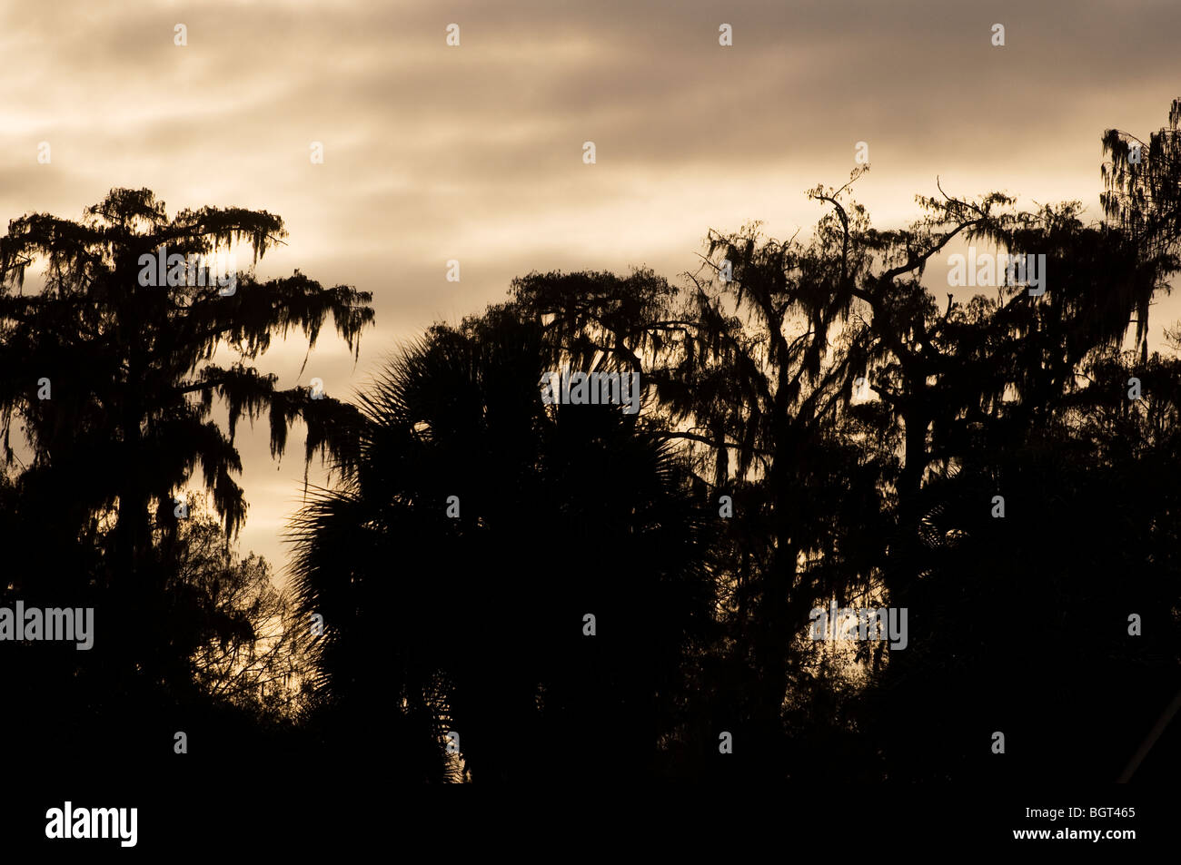 sunset at Silver Springs Florida Stock Photo - Alamy