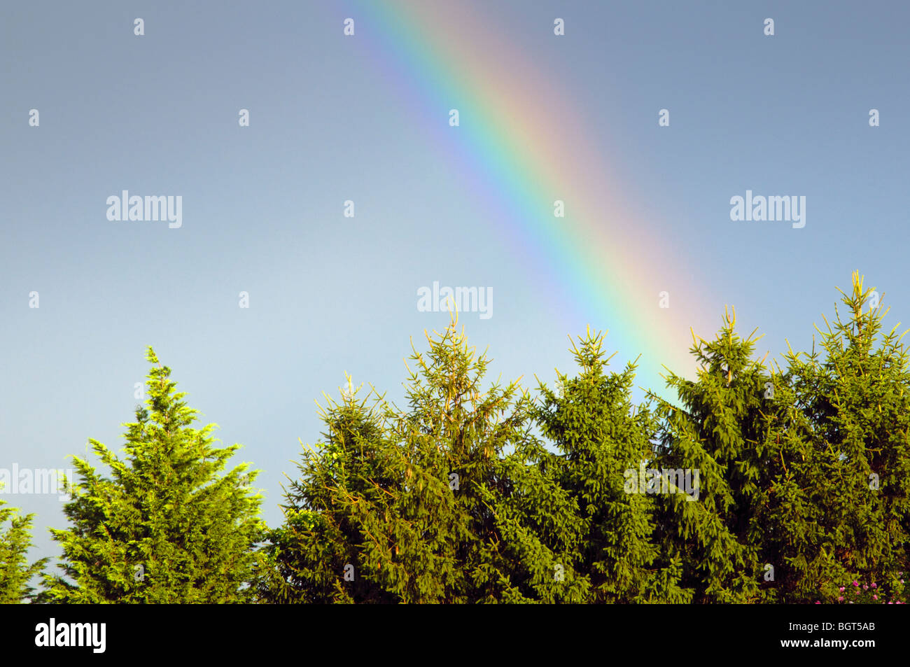 Intense rainbow hi-res stock photography and images - Alamy