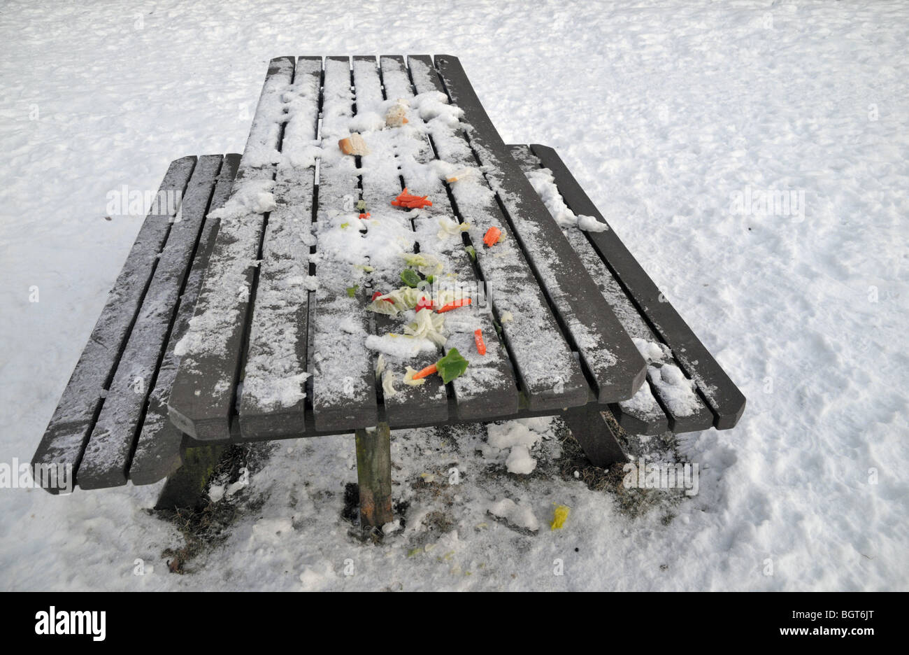 A snowy winters scene of a picnic table spread out with a variety of ...