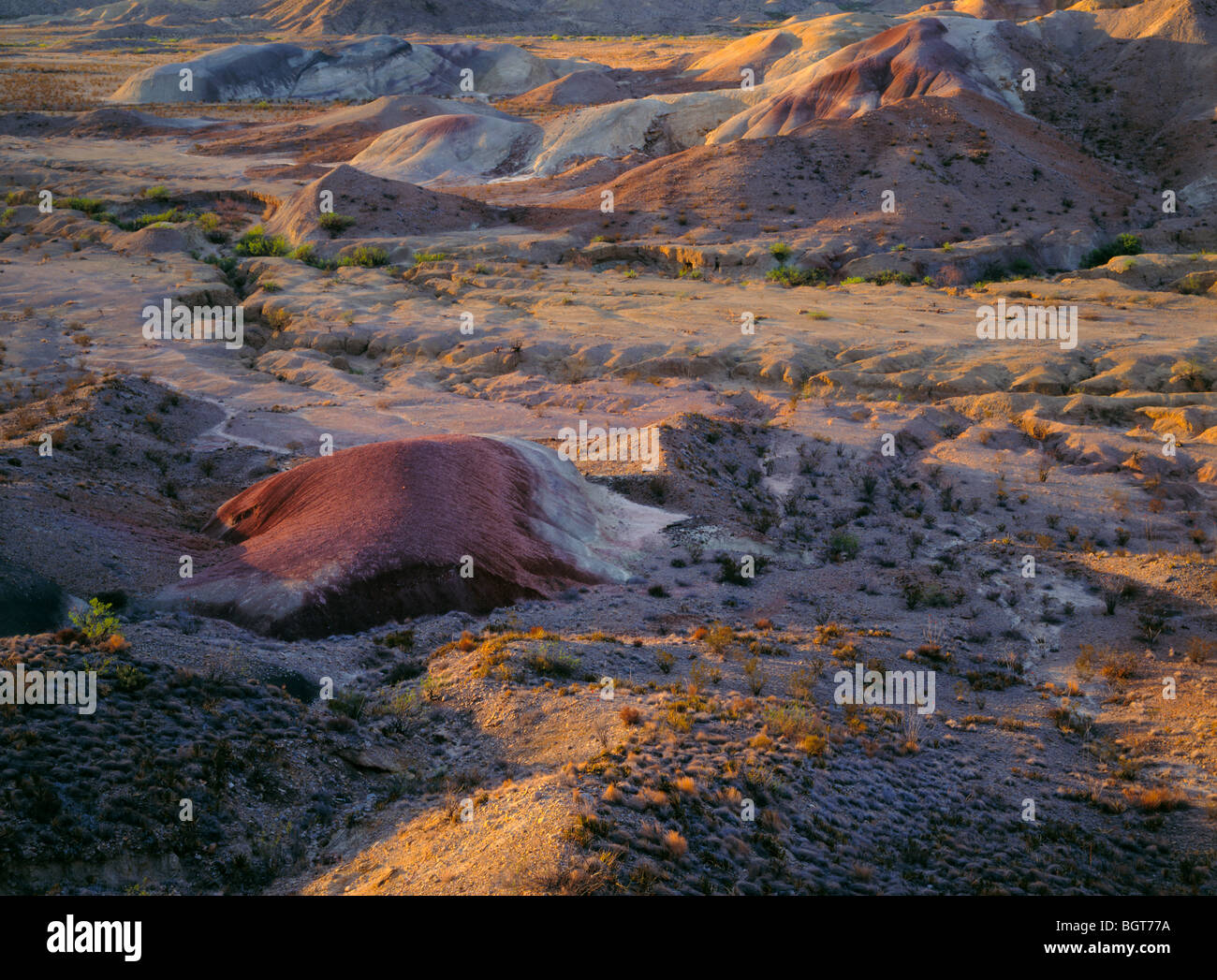 Big maverick hi-res stock photography and images - Alamy