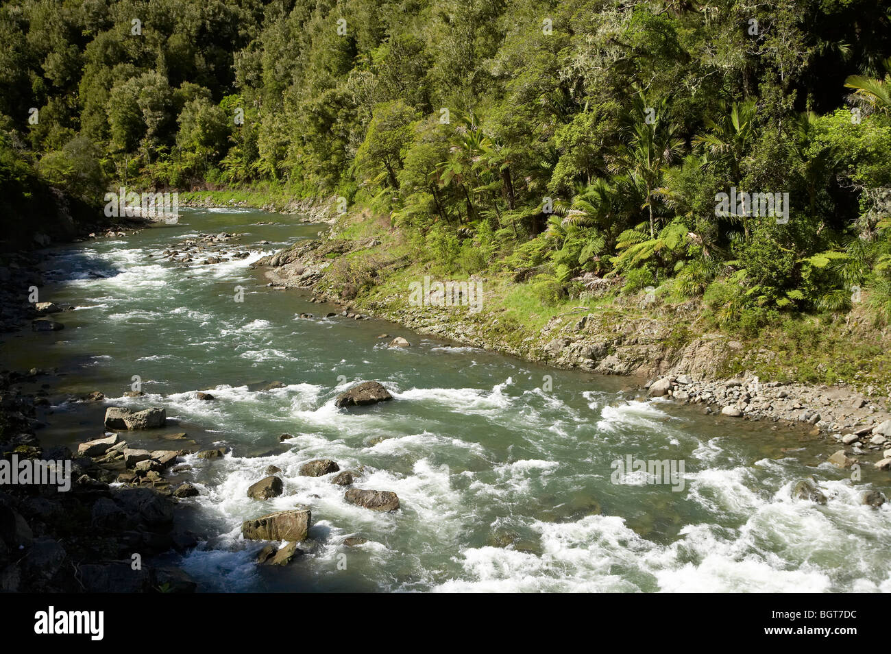 Rapids, Waioeka River, Waioeka Gorge, Bay of Plenty, North Island, New ...