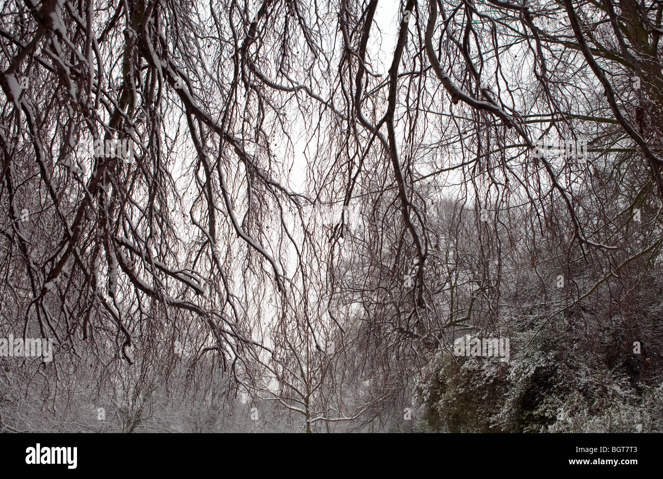 Bruges snow hi-res stock photography and images - Alamy