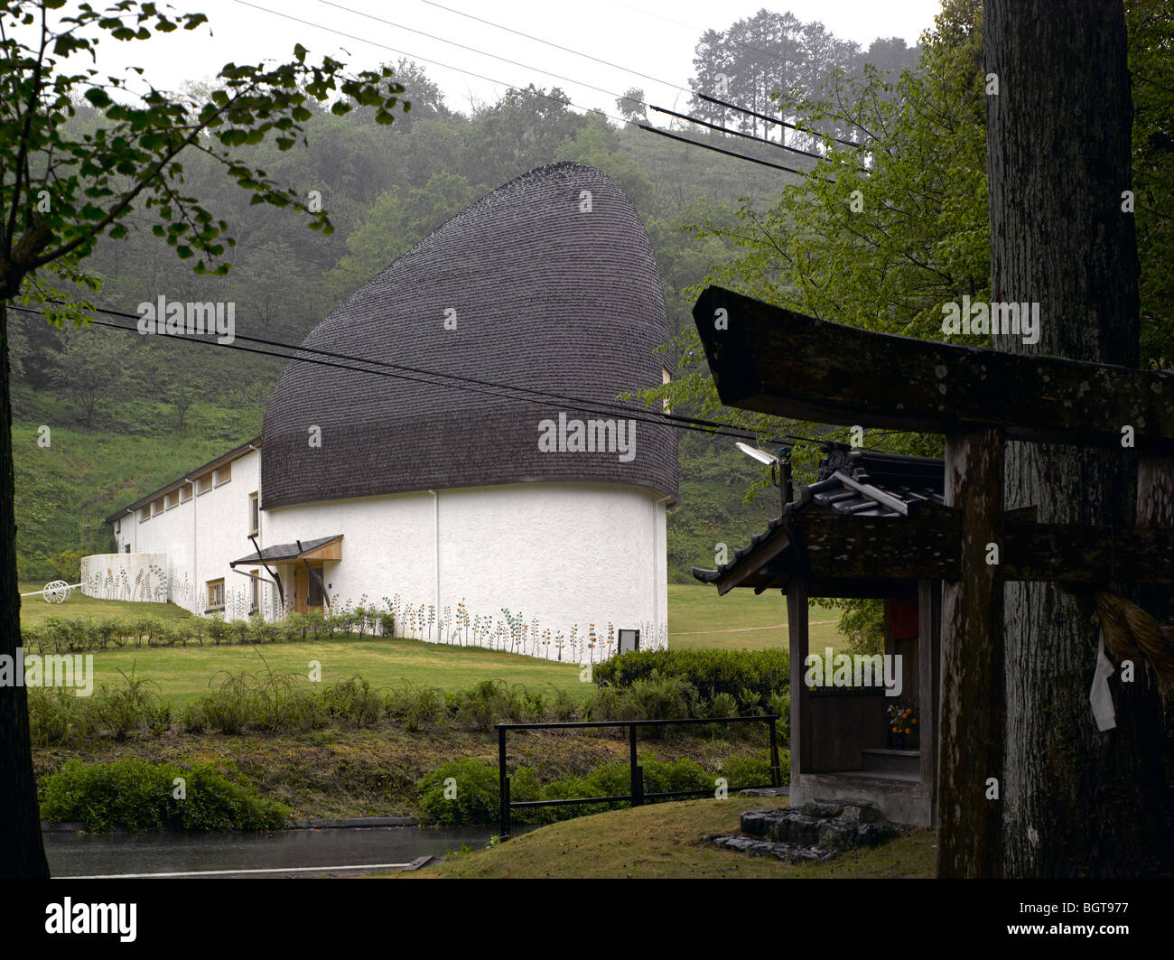 Nemunoki hi-res stock photography and images - Alamy