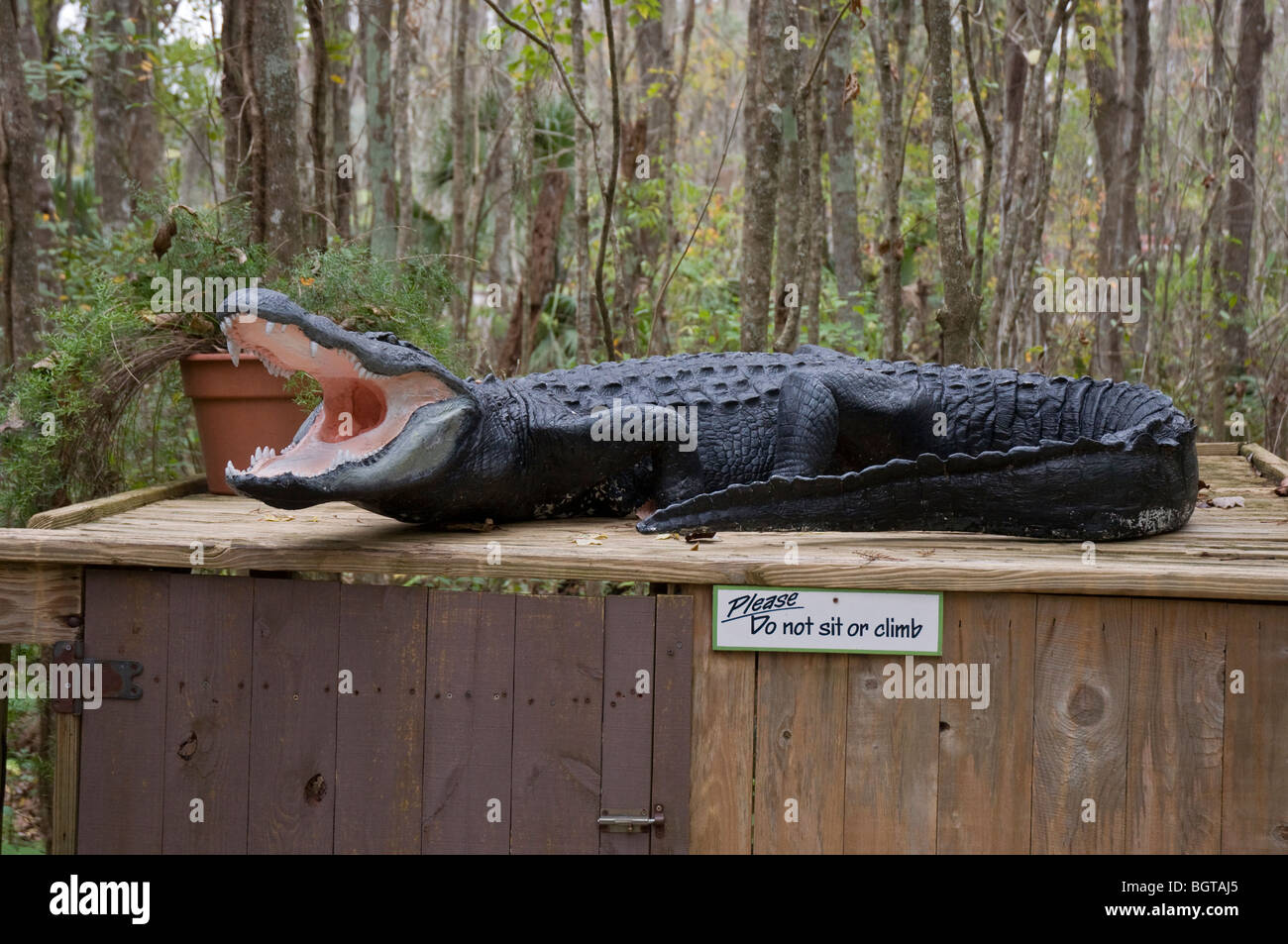 Alligator size hi-res stock photography and images - Alamy