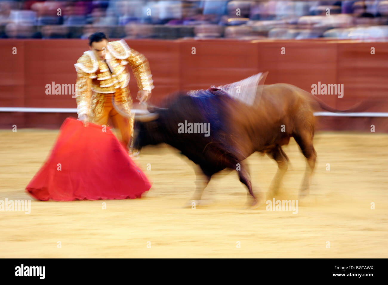 A Spanish matador during a bullfight, Seville, Spain Stock Photo - Alamy