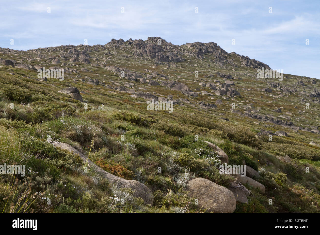 Mount kosciuszko national park hi-res stock photography and images - Alamy