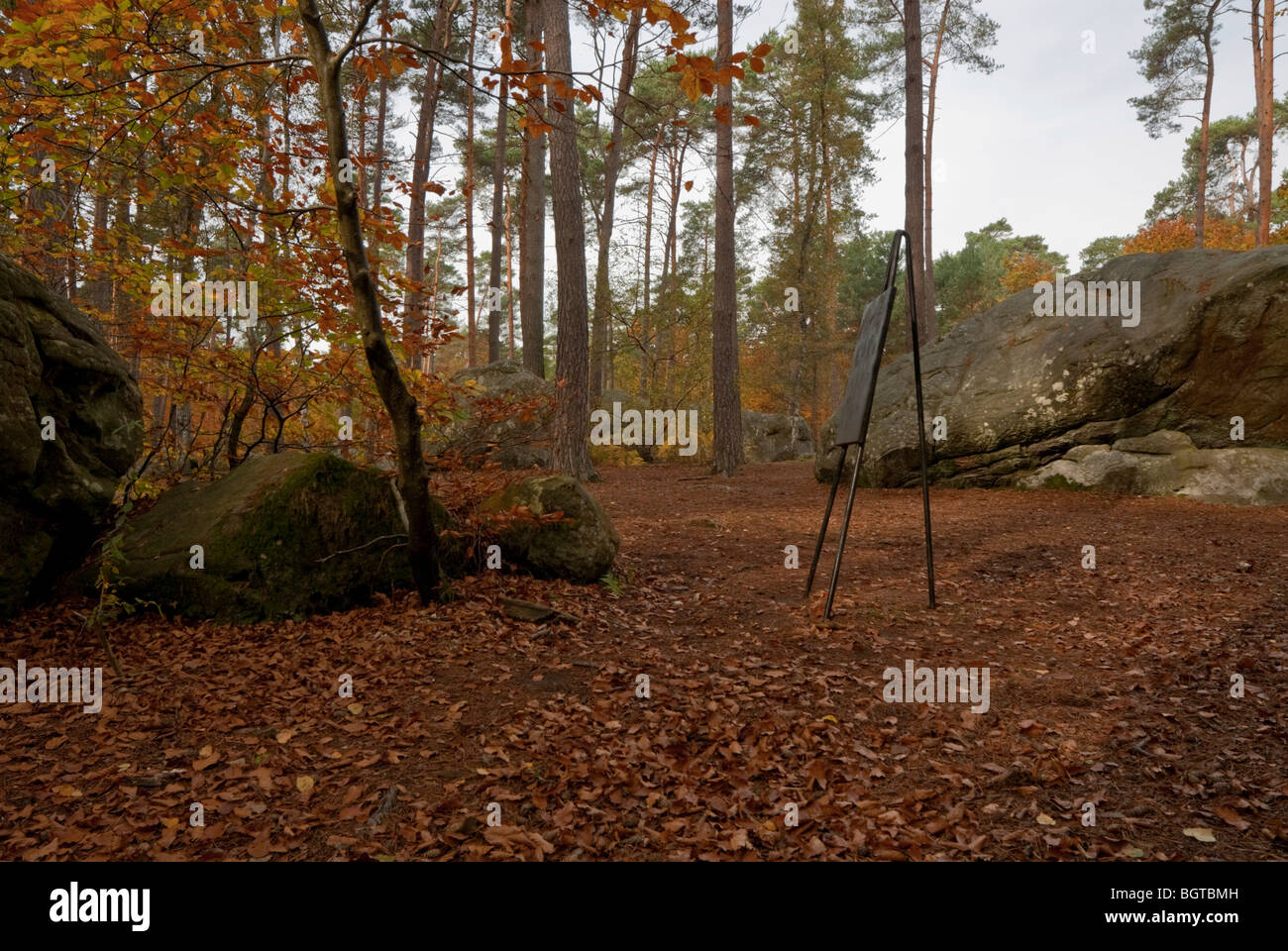 Fontainebleau france forest hi-res stock photography and images - Alamy