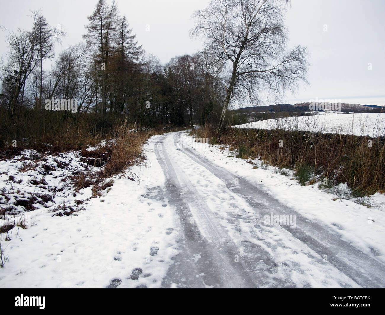 Ken-Dee marsh RSPB reserve, Dumfries and Galloway, Scotland. Winter ...