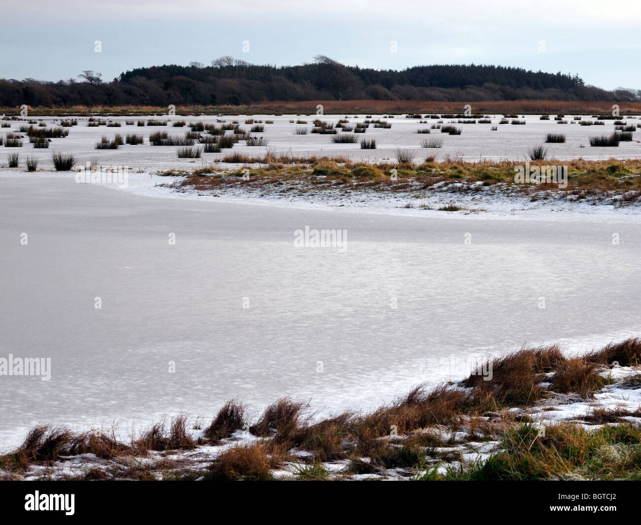 Rspb Mersehead Reserve High Resolution Stock Photography and Images - Alamy