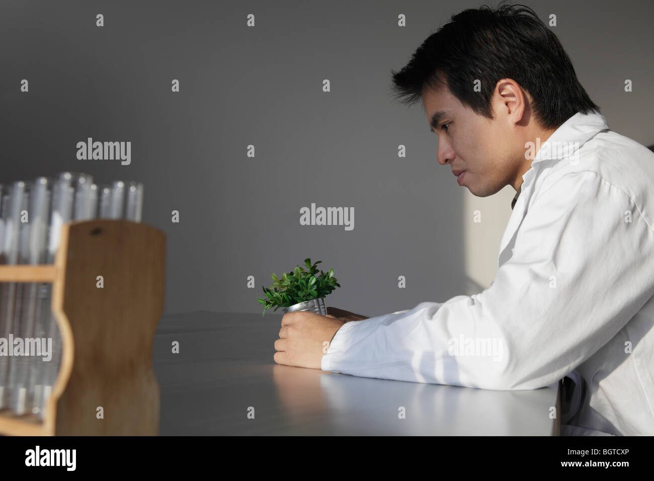 Profile of scientist looking at plant Stock Photo - Alamy