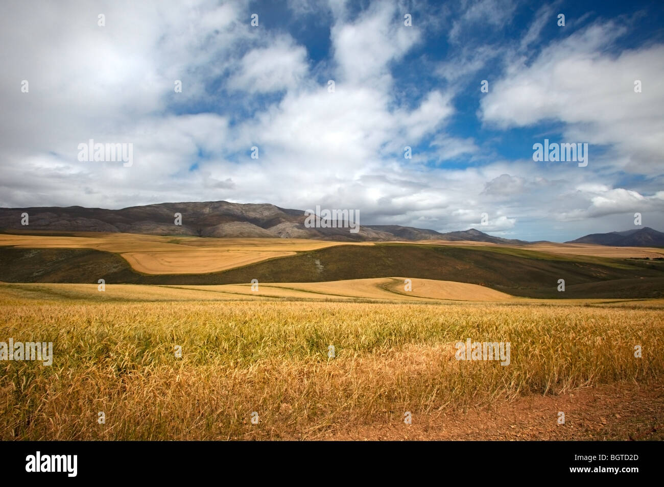 Hilly urban landscape hi-res stock photography and images - Alamy