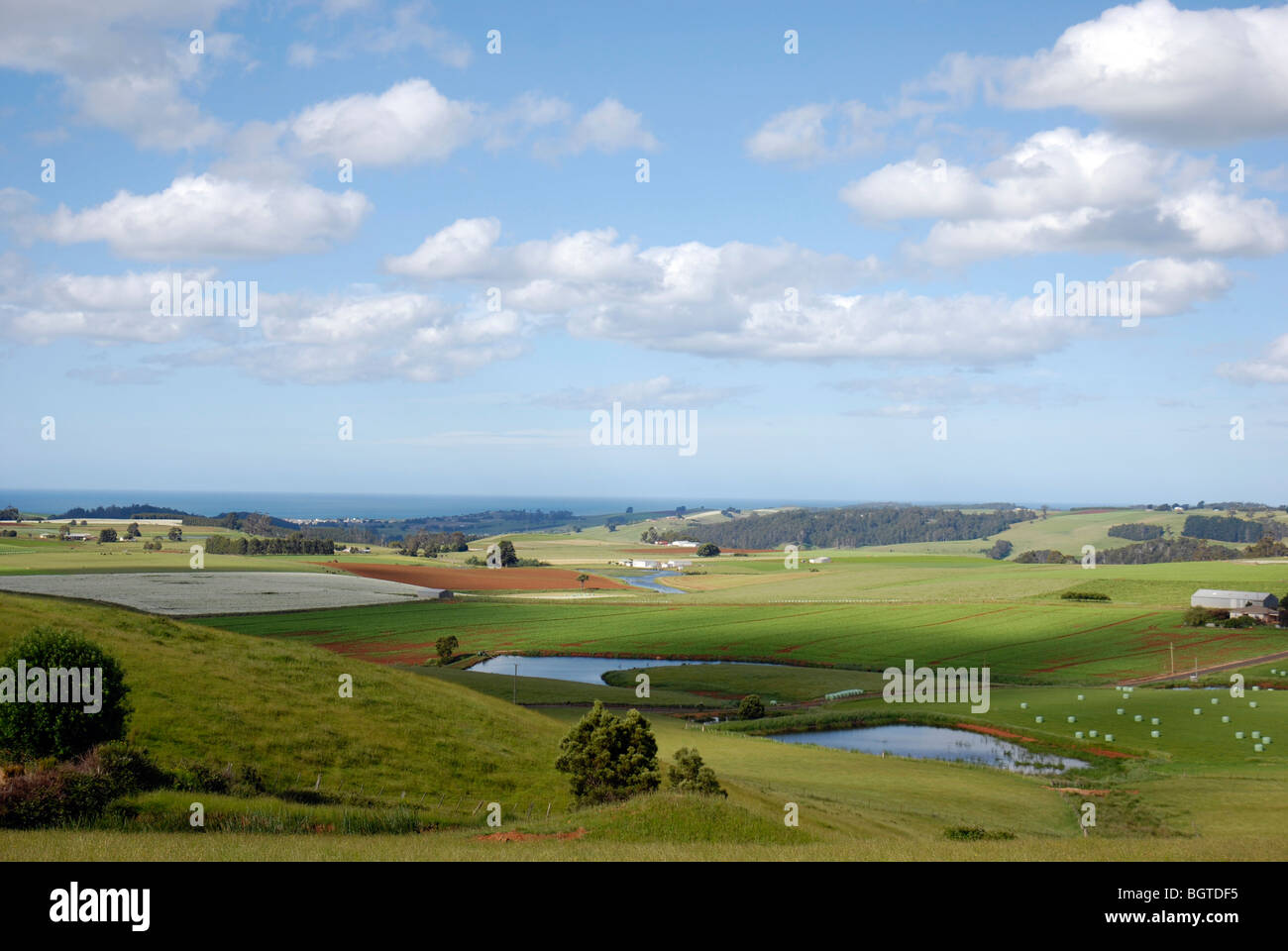Rural agricultural landscape of North West Tasmania Stock Photo - Alamy