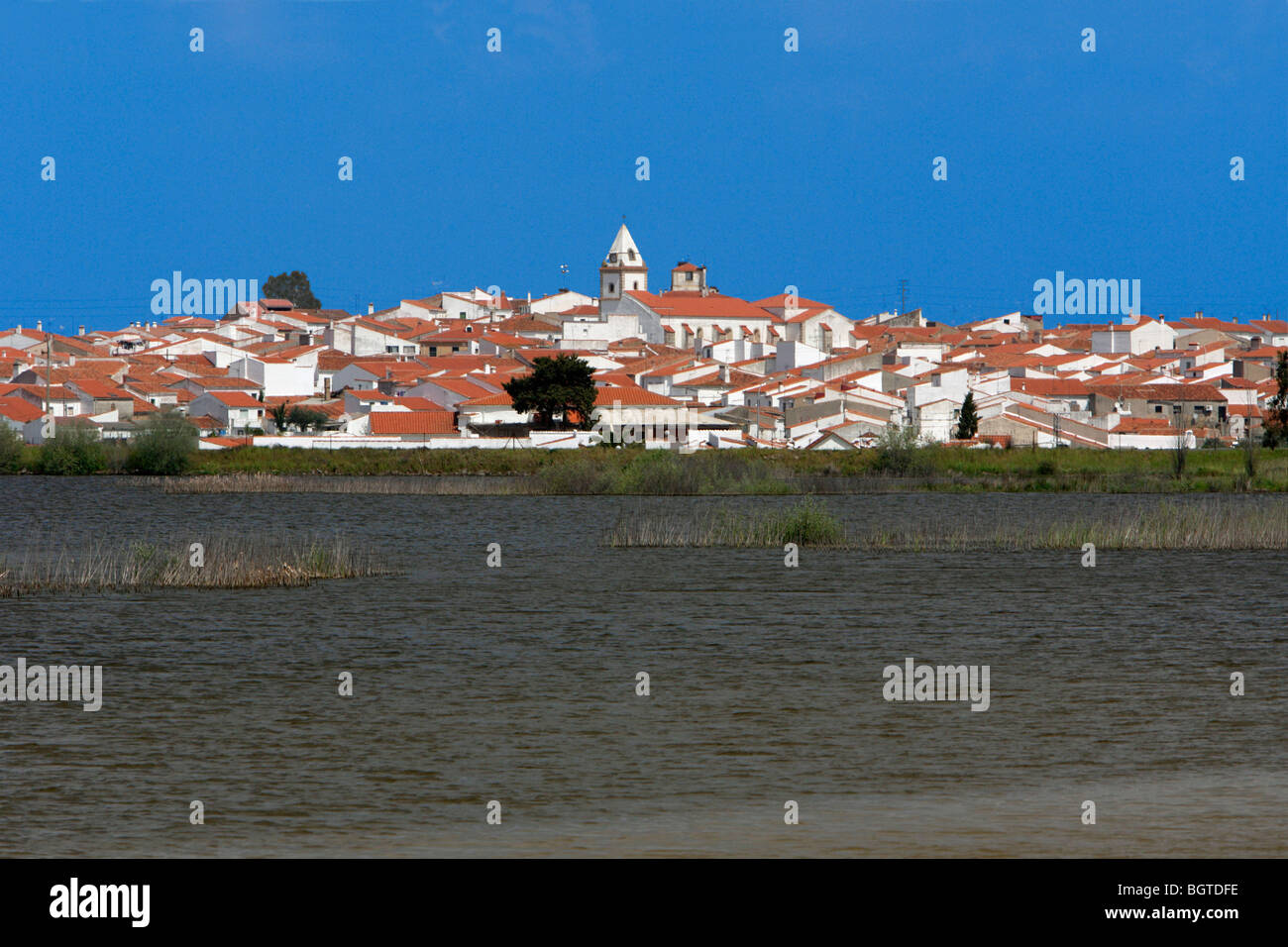 Membrio hi-res stock photography and images - Alamy