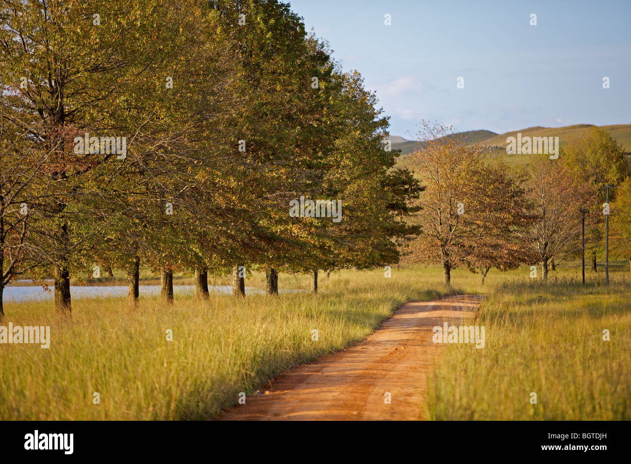 Pass tree hi-res stock photography and images - Alamy