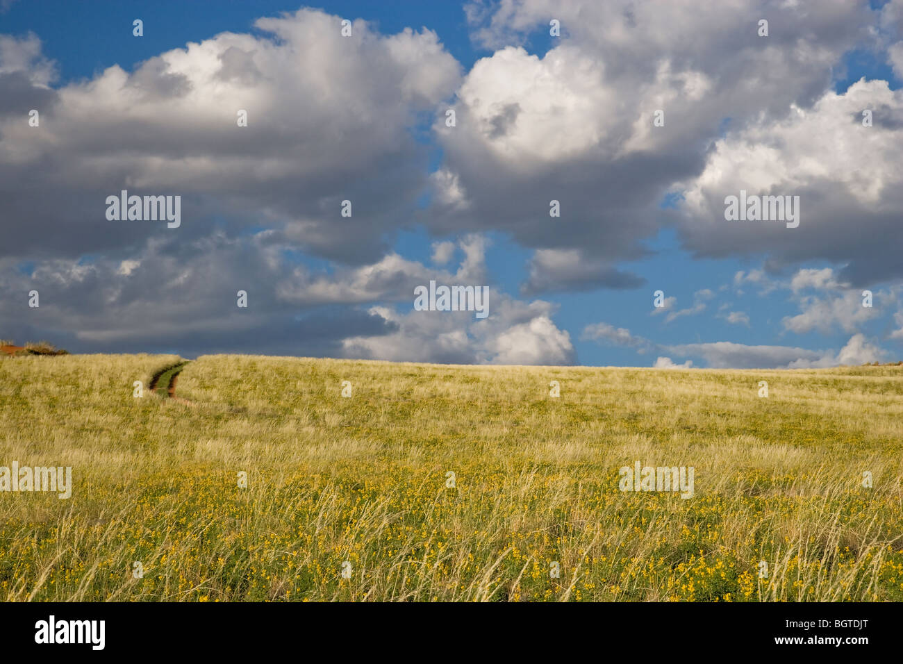Namib rand nature reserve hi-res stock photography and images - Alamy
