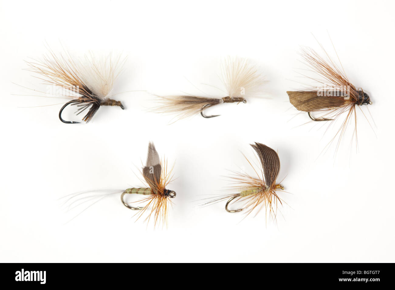 Fishing Fly isolated on a white background Stock Photo - Alamy