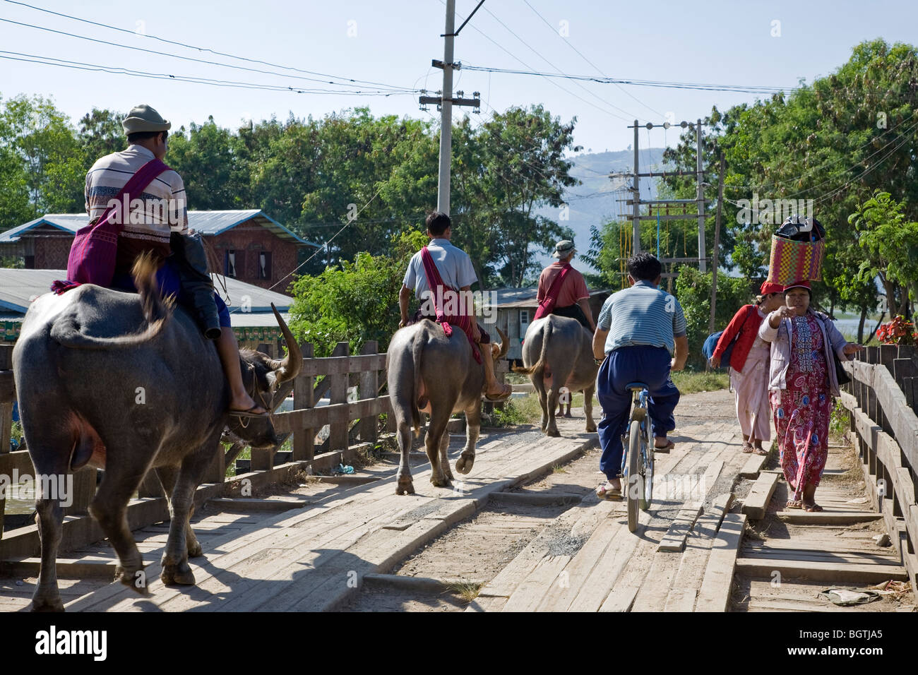 Man riding buffalo hi-res stock photography and images - Alamy