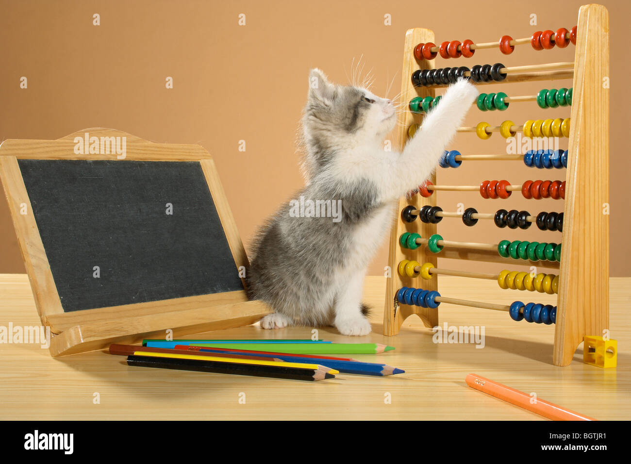 Cat colored pencils hi-res stock photography and images - Alamy
