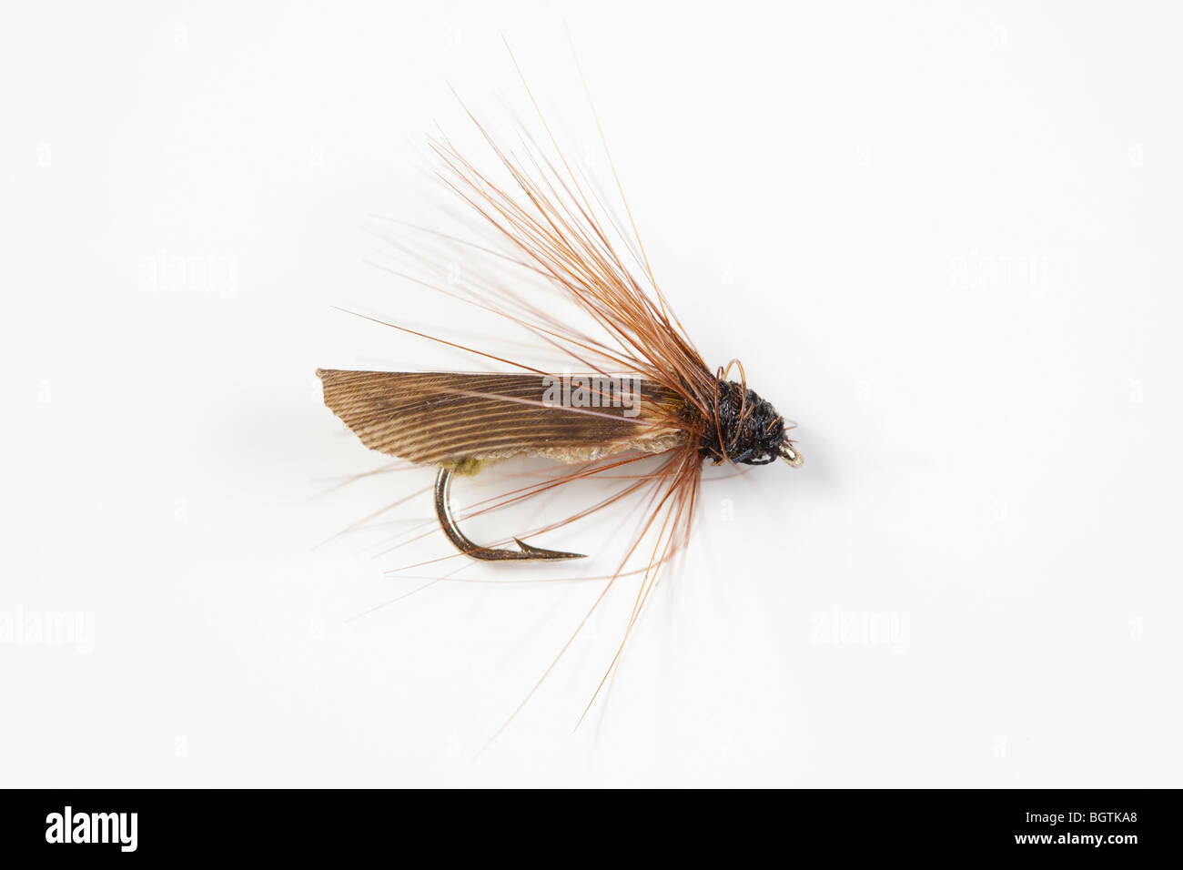 Flying and fishing Cut Out Stock Images & Pictures - Alamy