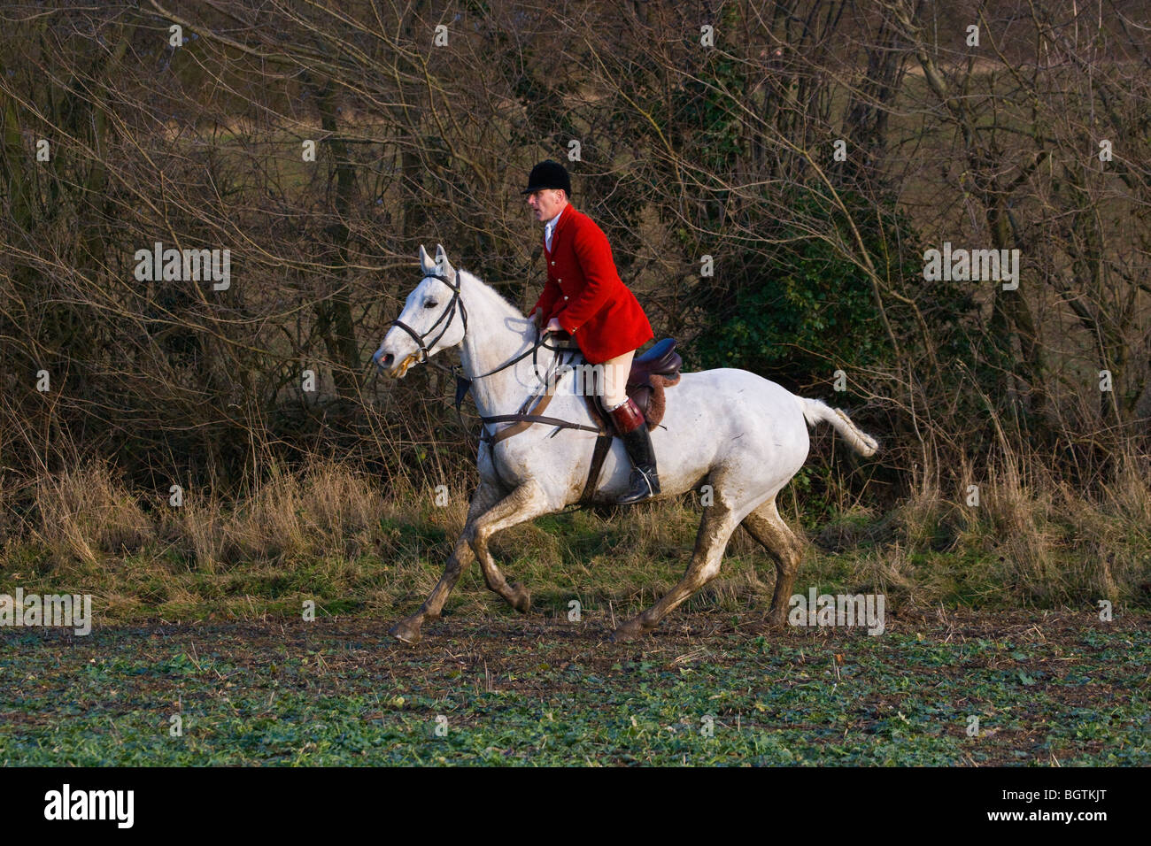 hunt hunter hunting fox red rider England horse Stock Photo - Alamy