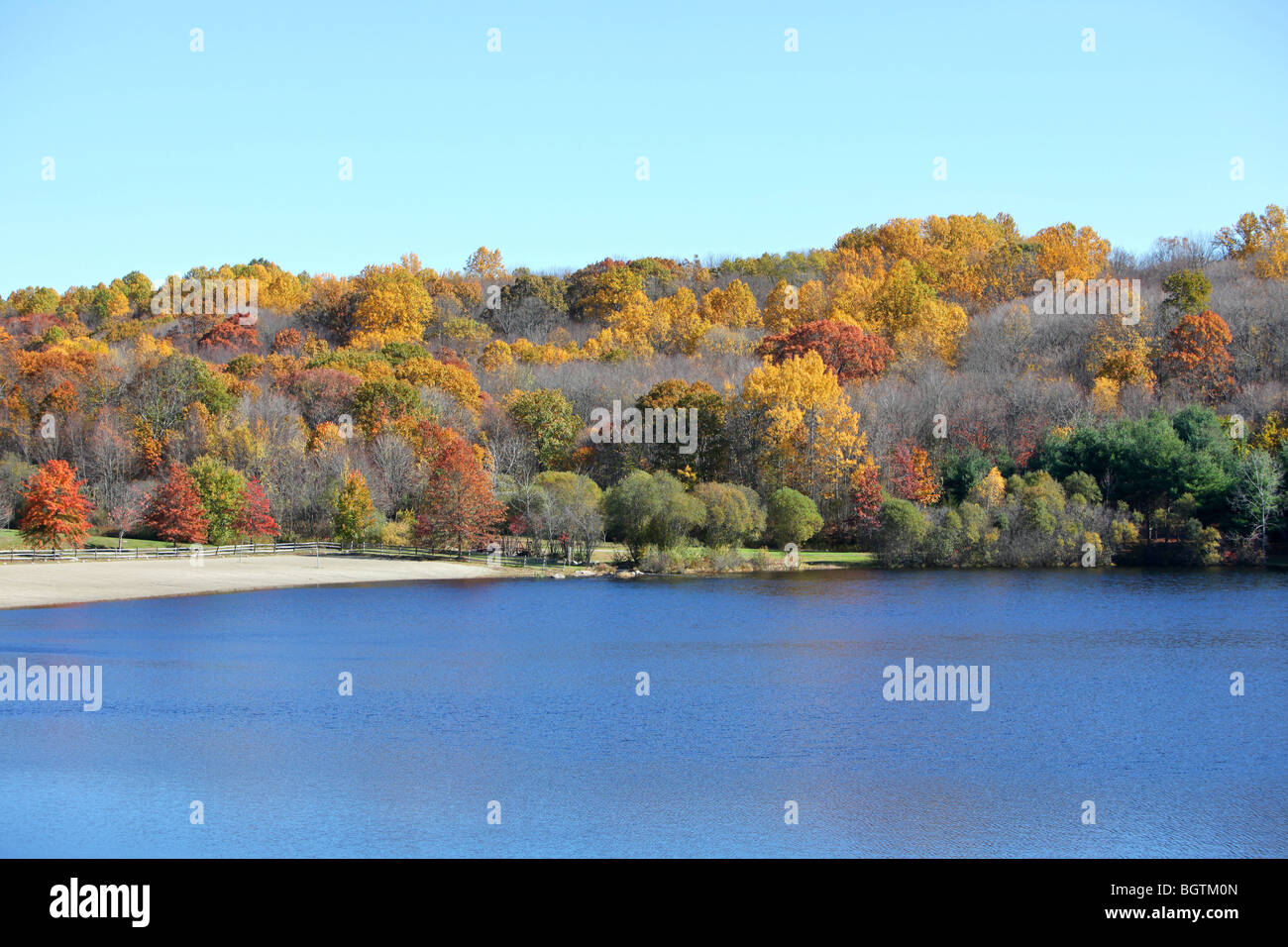 Lake with beautiful fall trees in background Stock Photo - Alamy