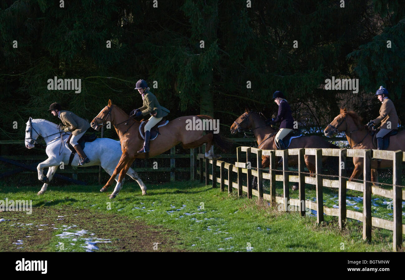 Horse hunt jump hi-res stock photography and images - Alamy