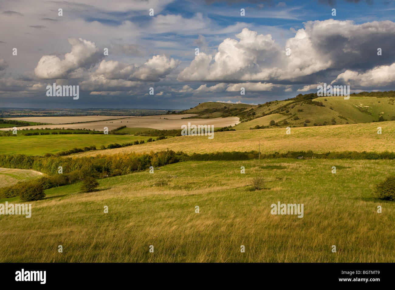 The Ridgeway Long distance path at Ivinghoe Beacon in the Chiltern ...