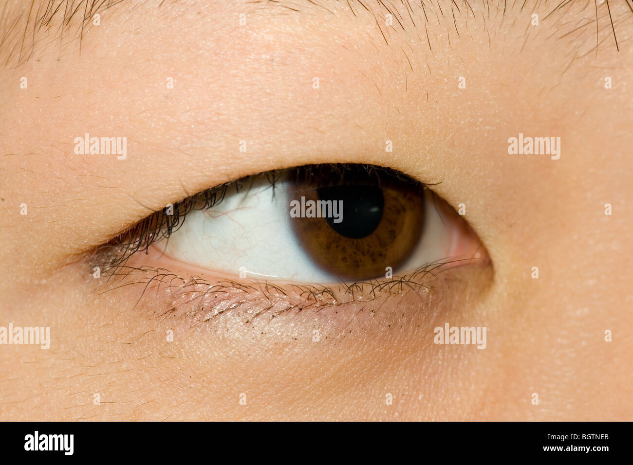 Close up of an eye of an Asian female Stock Photo - Alamy