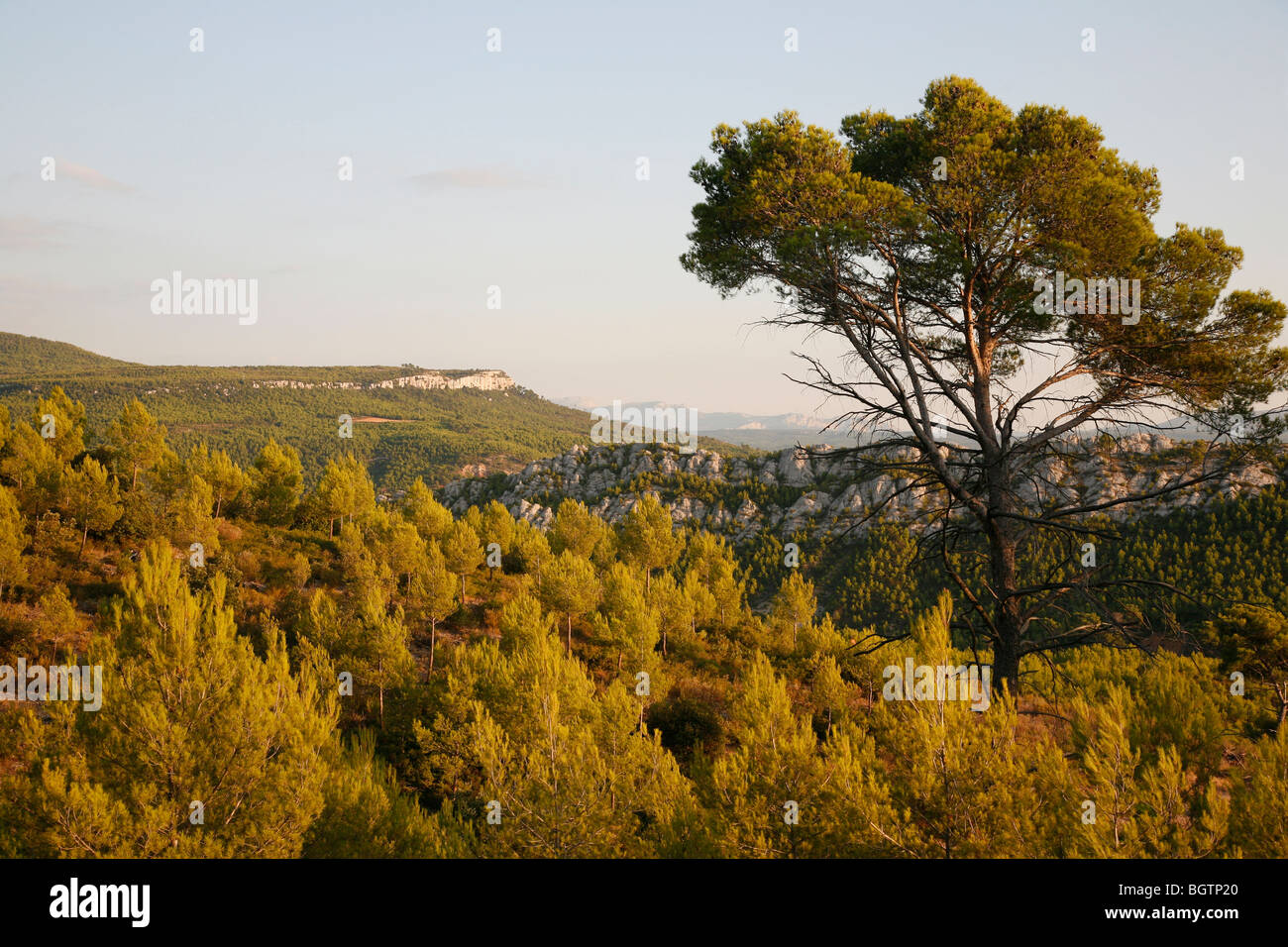 Forest near the Barrage de Bimont with a view over the Sainte Baume ...
