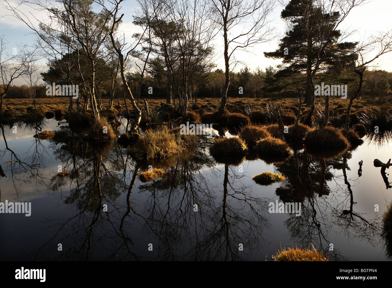 Skipworth hi-res stock photography and images - Alamy