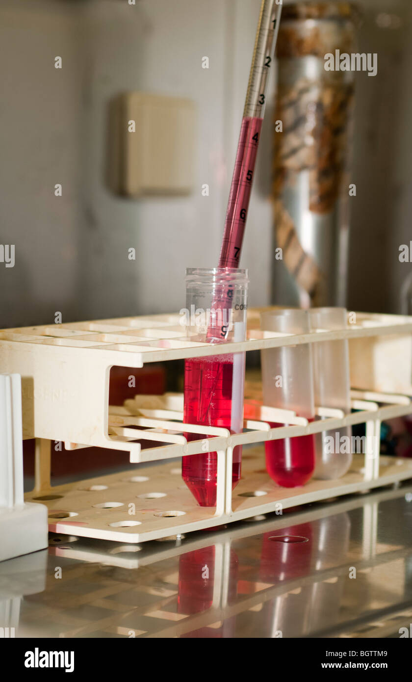 Microbiology Laboratory Cell Culture research Stock Photo - Alamy