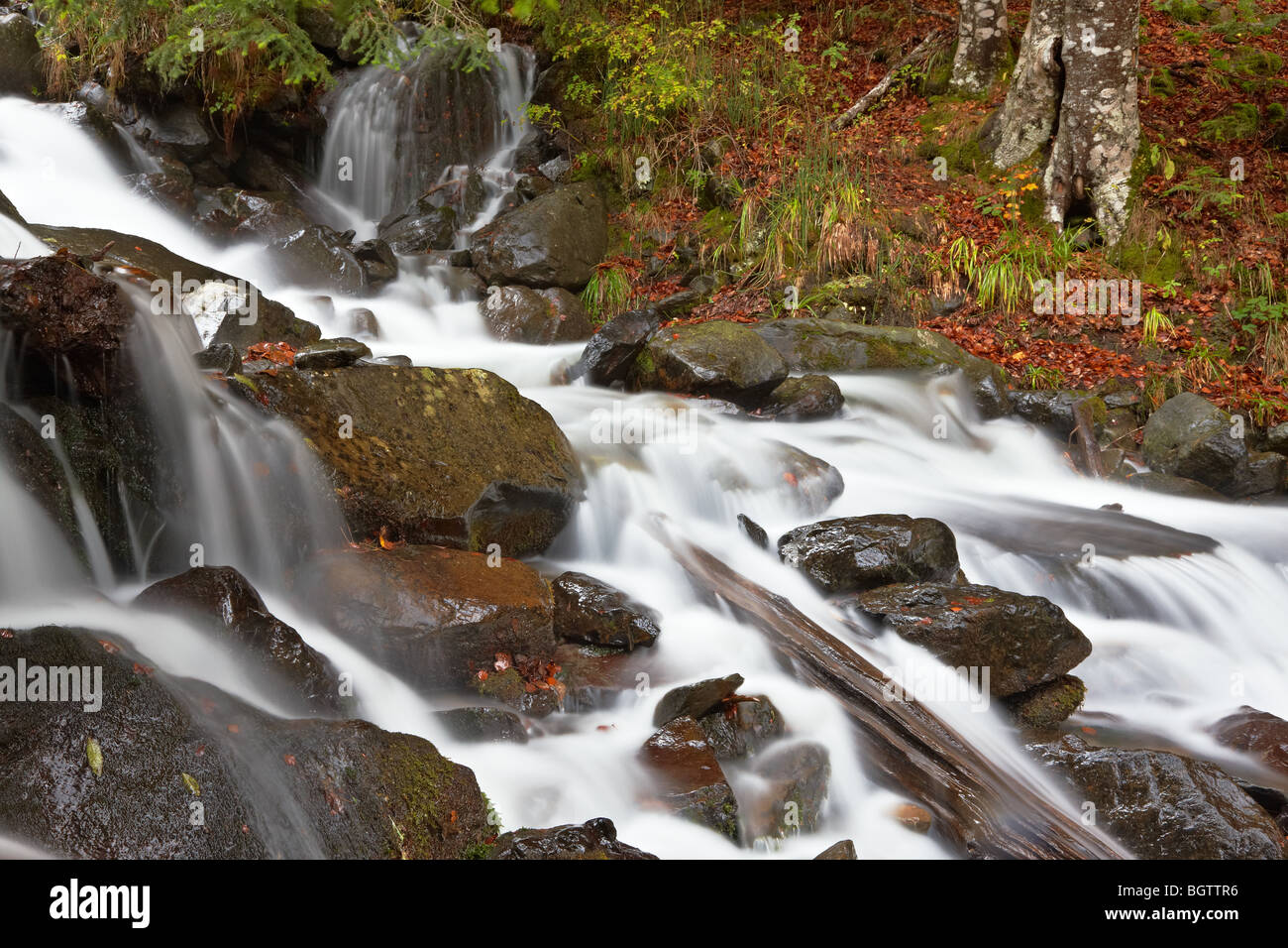 Autumn brook with mini waterfalls flowing in the national park Stock ...