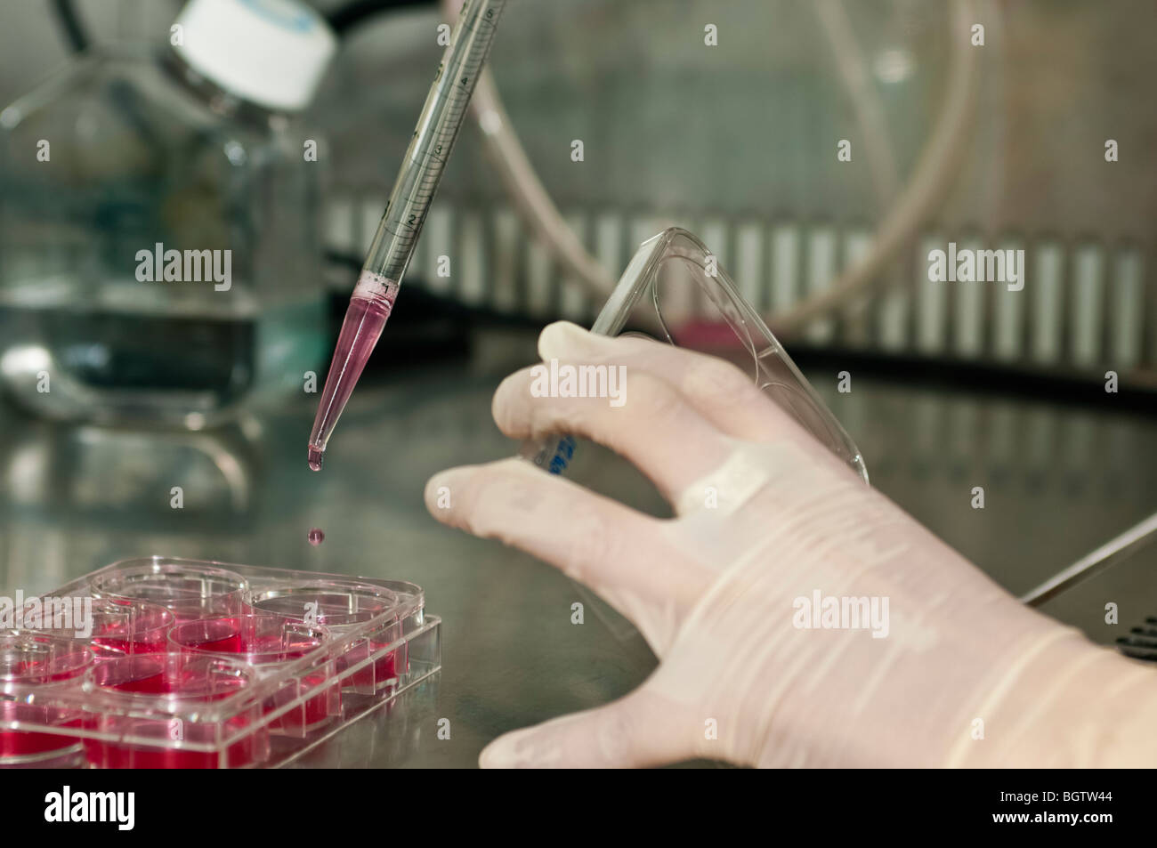 Medical Trays High Resolution Stock Photography and Images - Alamy