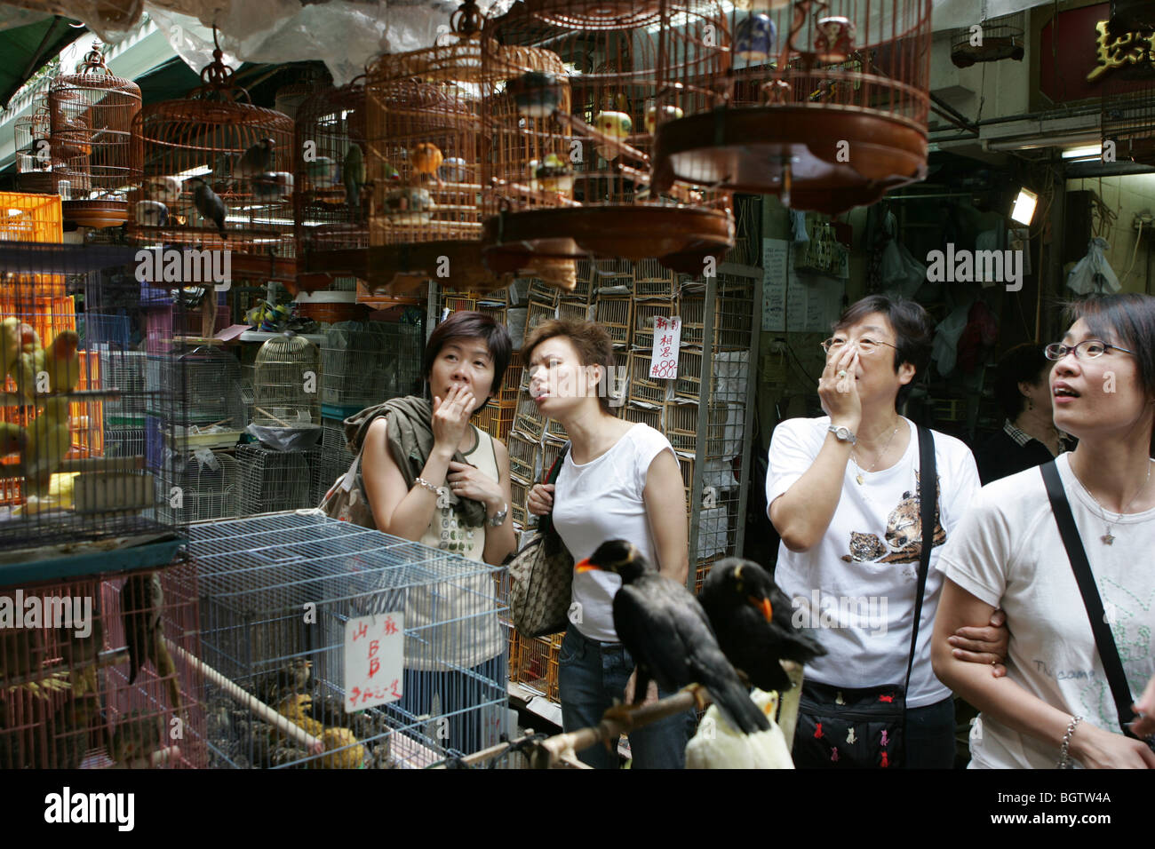 Bird Market hong kong Stock Photo - Alamy
