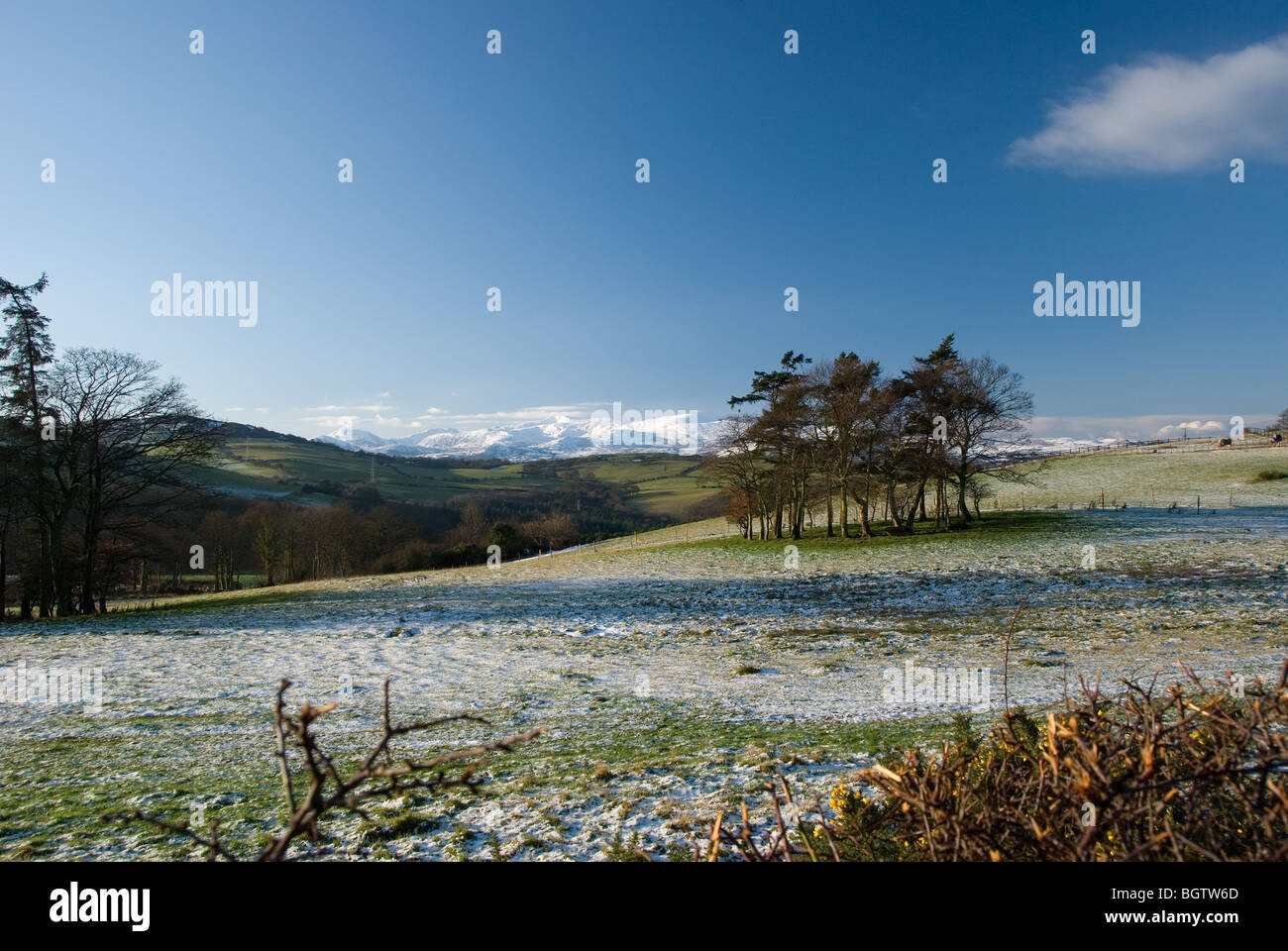 Winter Fields Colwyn Heights (UK Weather Stock Photo - Alamy