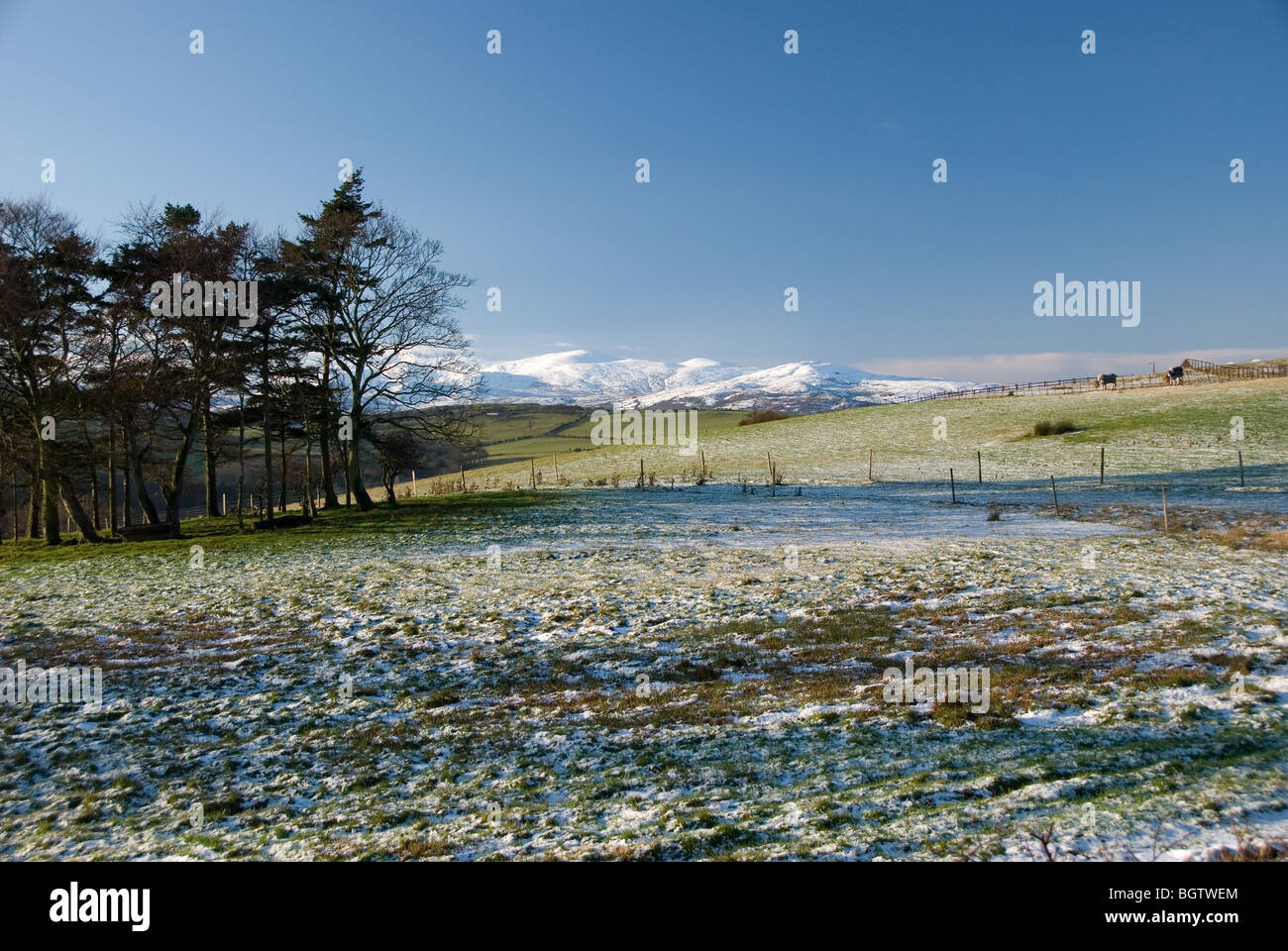 Colwyn heights hi-res stock photography and images - Alamy