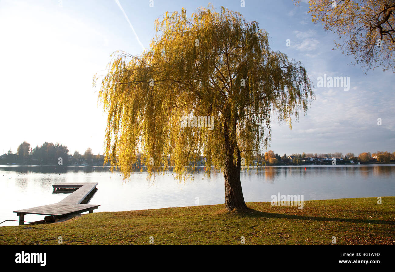Lake neufeld hi-res stock photography and images - Alamy
