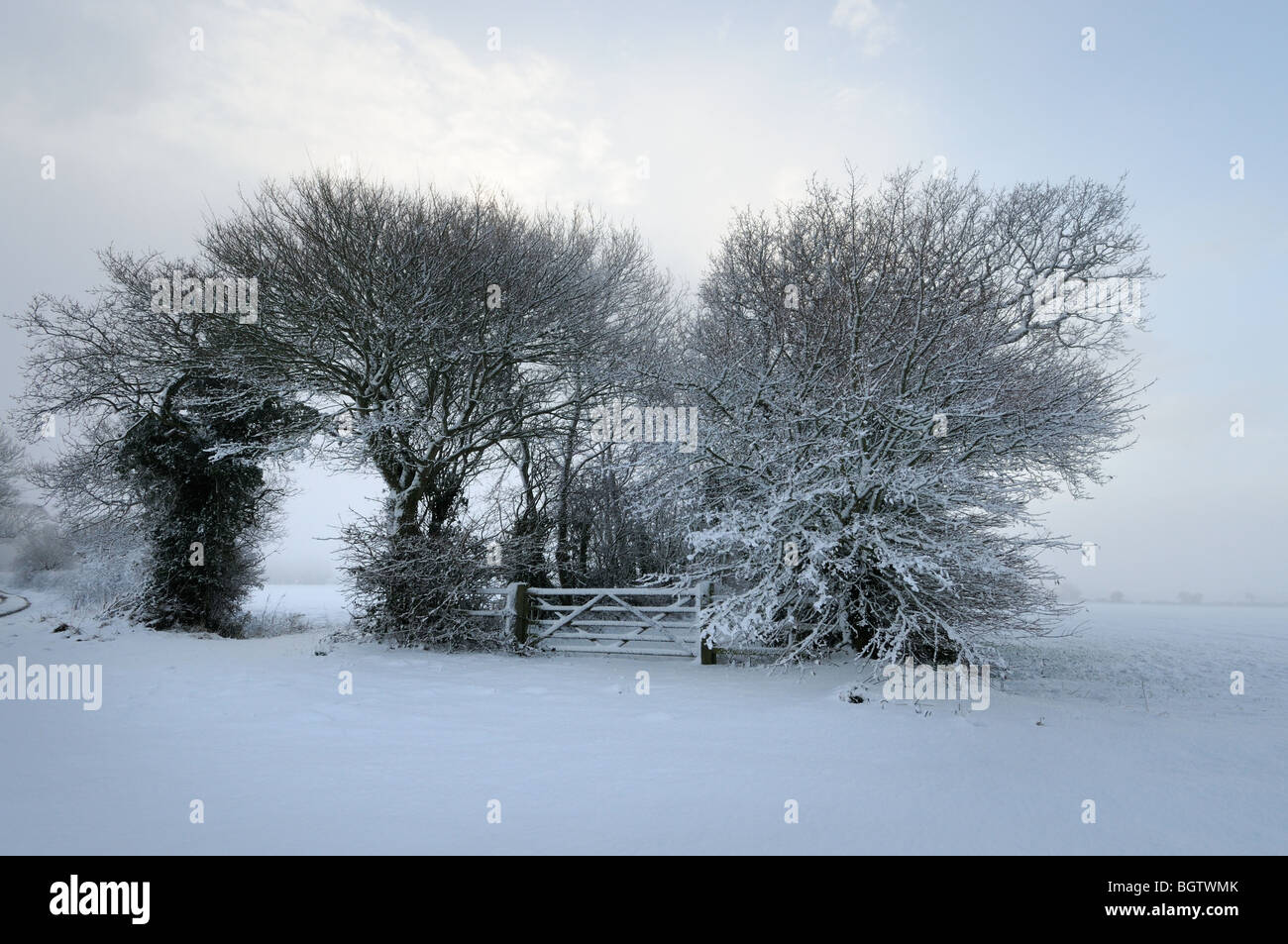 Winter snow scene with farm gate and trees, Norfolk, UK December Stock ...