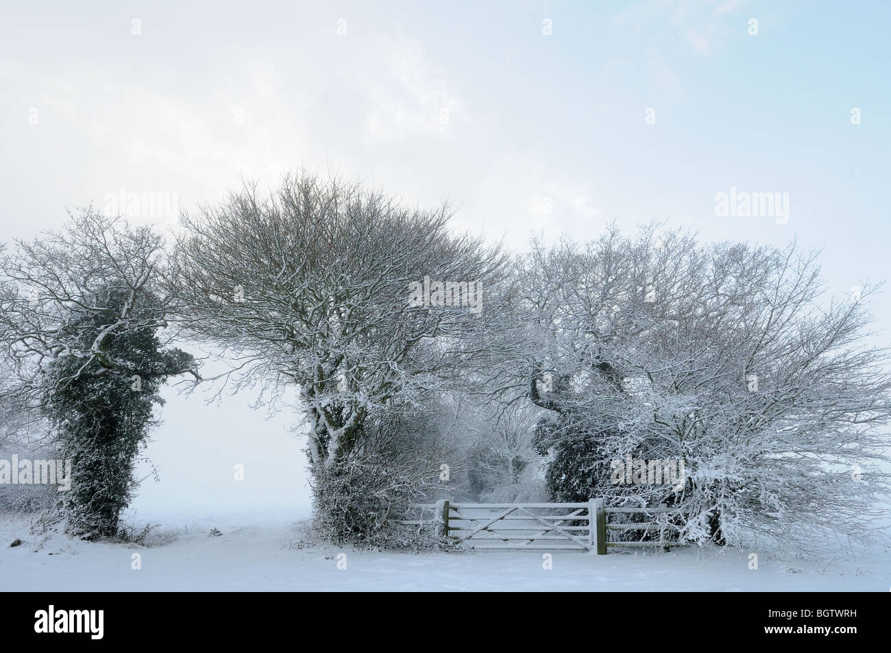 Winter snow scene with farm gate and trees, Norfolk, UK December Stock ...