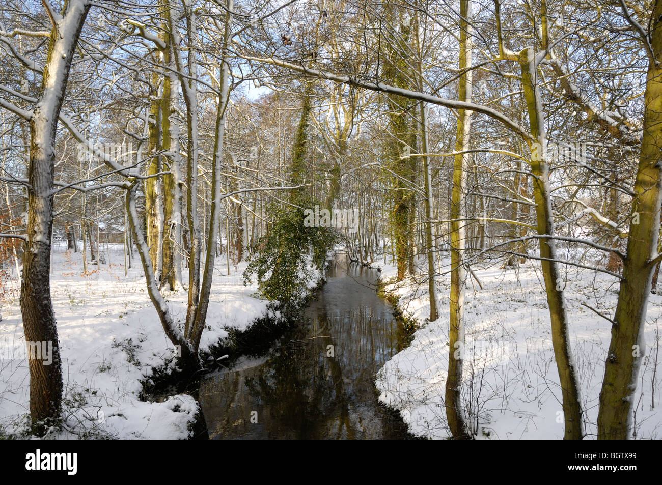 Winter snow scene with stream running through snow covered woodland ...