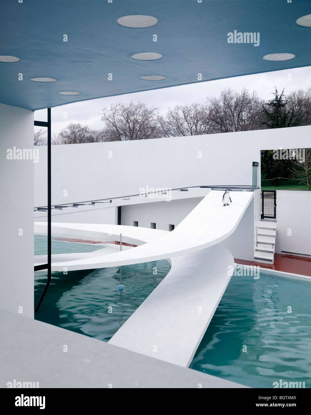 architecture art galleries british museum british museum great court ...