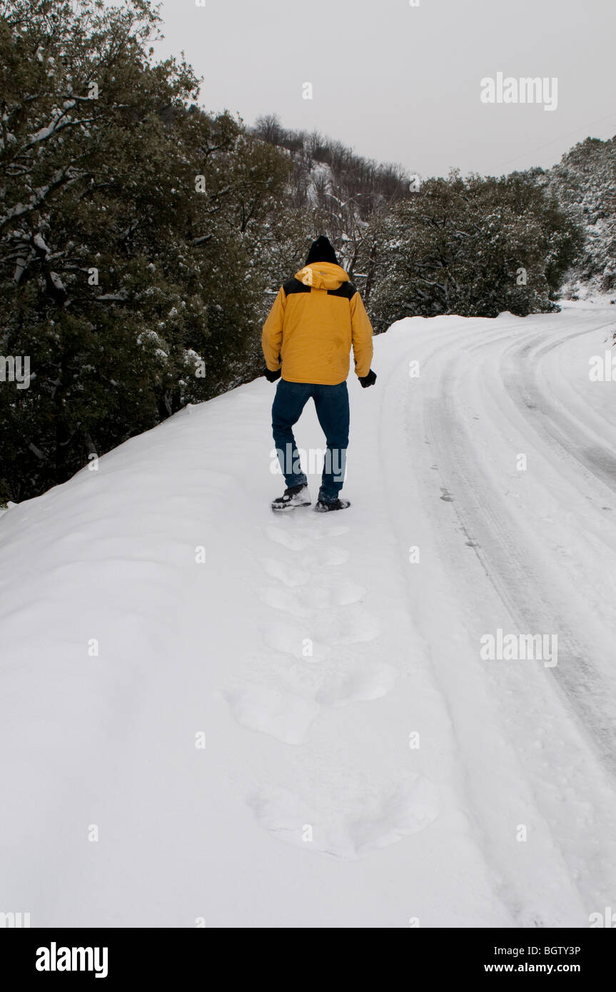 Person walking in snow hi-res stock photography and images - Alamy