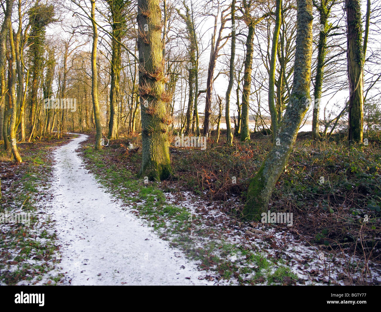 Mersehead Rspb Reserve High Resolution Stock Photography and Images - Alamy