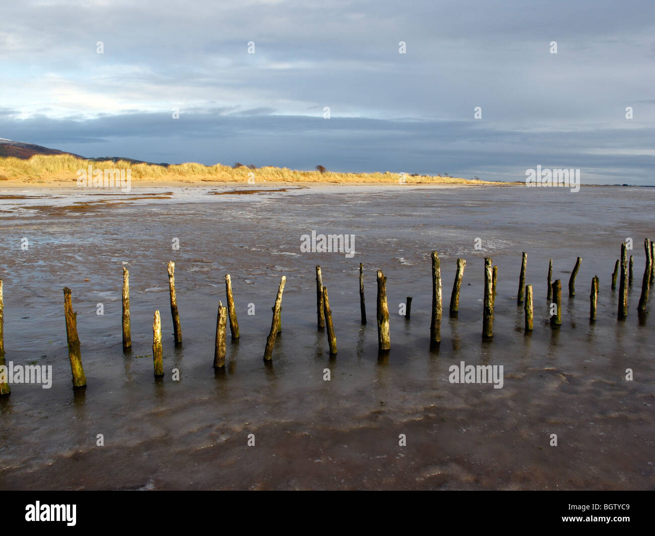 Mersehead beach hi-res stock photography and images - Alamy