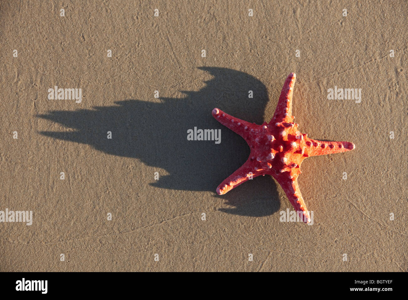Wet Sand High Resolution Stock Photography and Images - Alamy