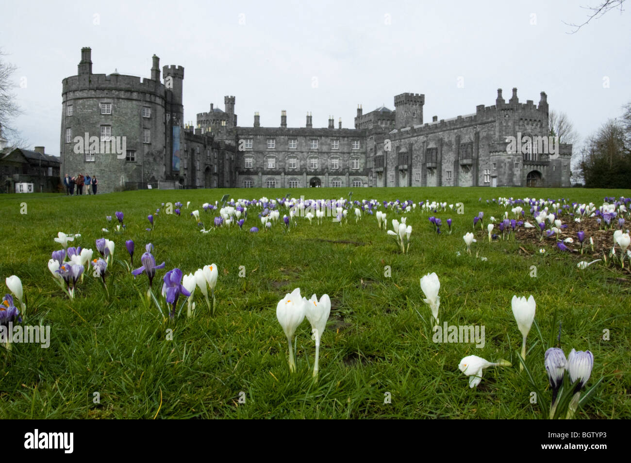 castle scene in Ireland Stock Photo - Alamy