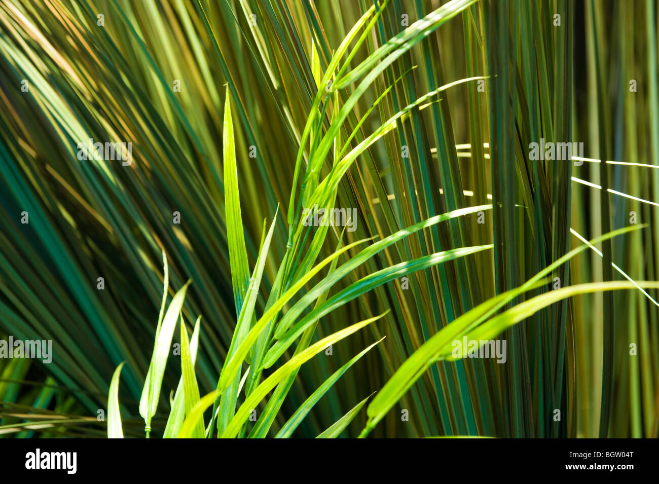 Green grass edge hi-res stock photography and images - Alamy