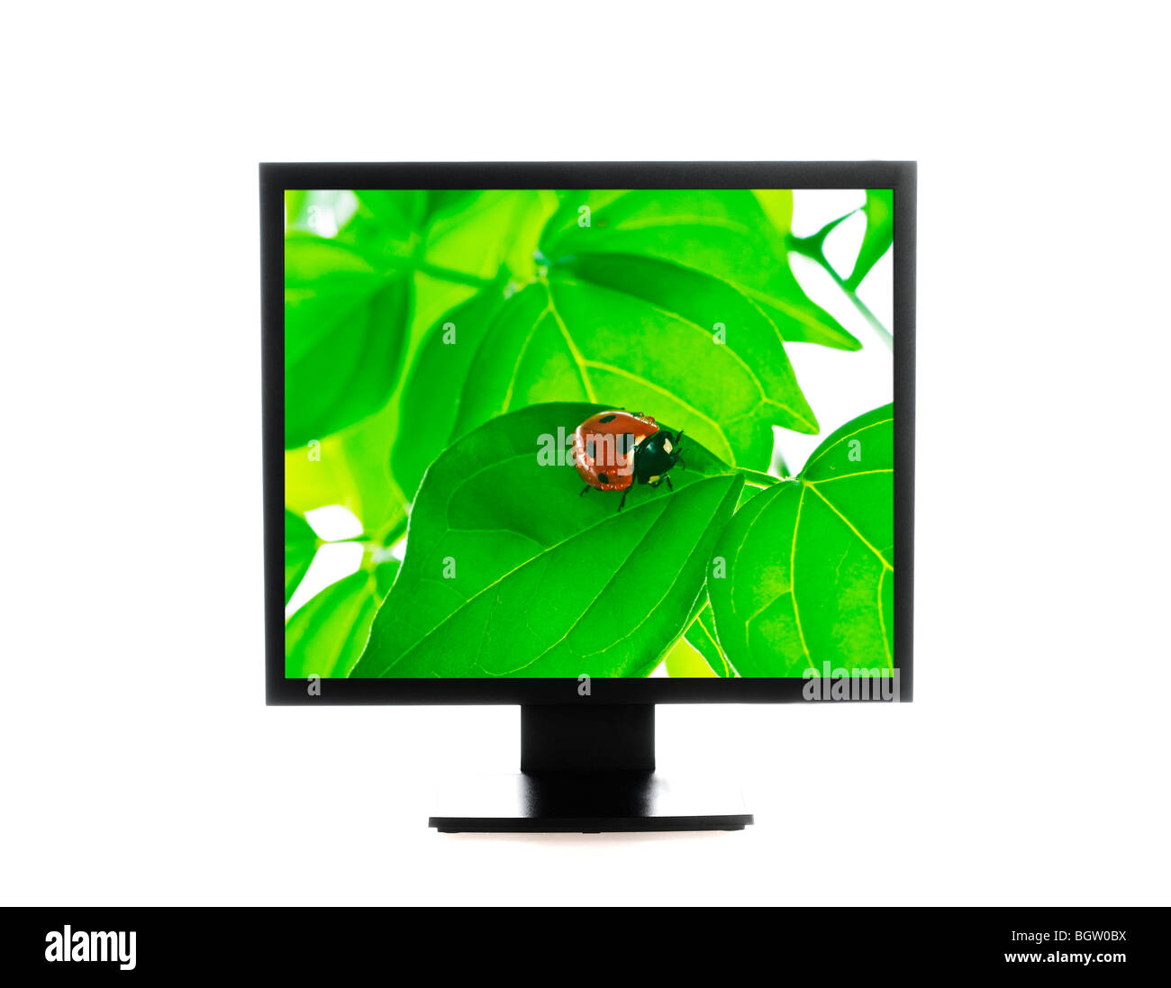 computer monitor. Isolated over white background Stock Photo - Alamy