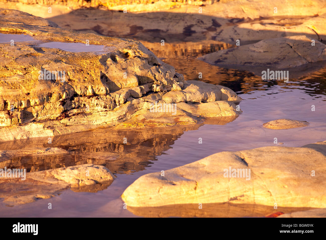 Rock pools on the block sands on the headland at old Hartlepool Stock ...