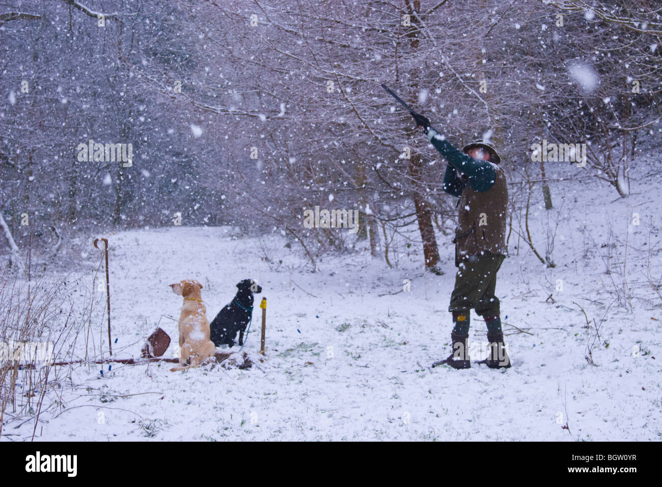 Heavy snow falls on a winter Shooting Scene Stock Photo - Alamy